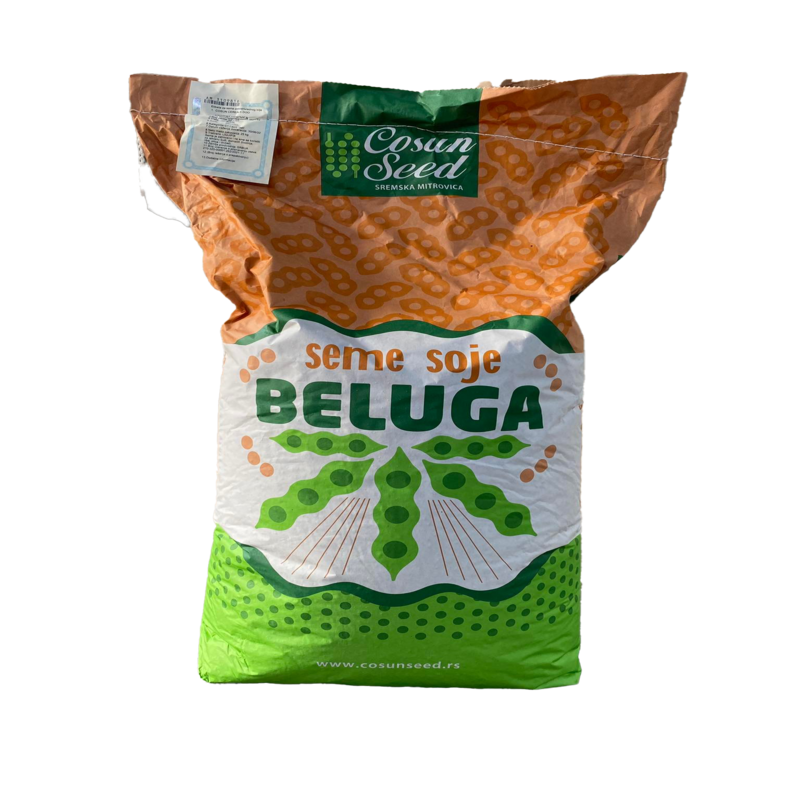 Beluga – Cosun Seed